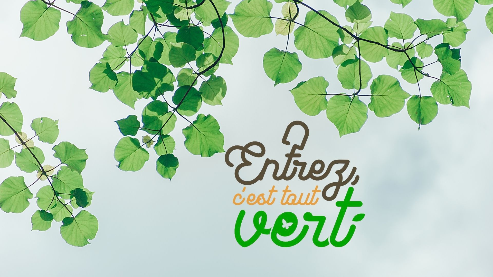 Entrez, c'est tout vert - Le jardin résilient et envoûtant | Canal Zoom