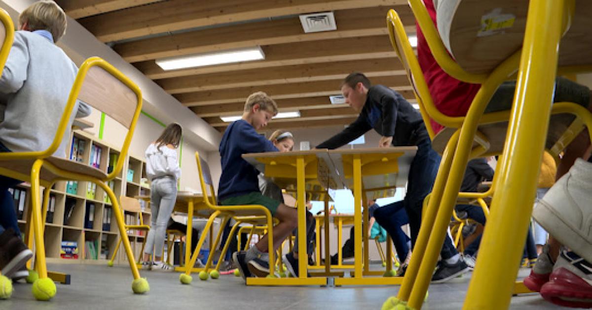 Séquence école #65 : les 6ème du Collège Saint-Guibert en immersion ...