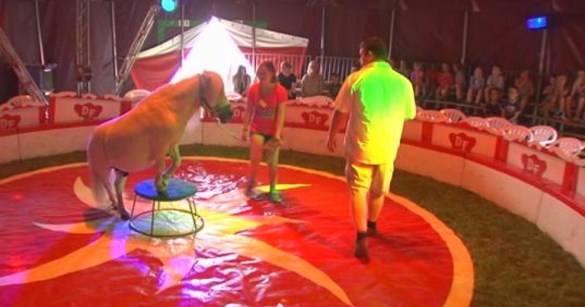 Stage au Cirque Stromboli à Malèves | Canal Zoom