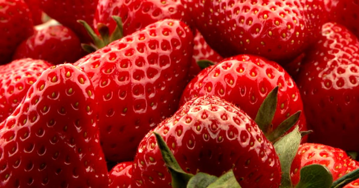 Malèves : la saison des fraises de Wallonie est lancée | Canal Zoom